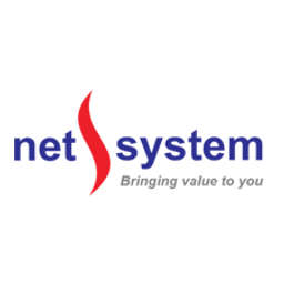 NetSystem - Crunchbase Company Profile & Funding