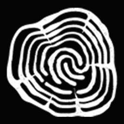 Native Squared - Crunchbase Company Profile & Funding