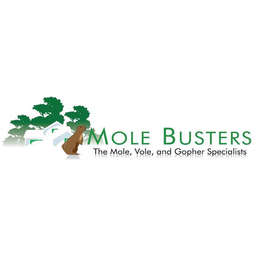 Mole Busters - Crunchbase Company Profile & Funding