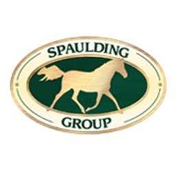 Spaulding Group - Crunchbase Company Profile & Funding