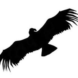 Condor Publishing - Tech Details