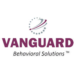 Vanguard Behavioral Solutions - Tech Details