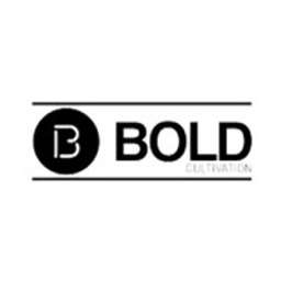 Bold Team - Crunchbase Company Profile & Funding