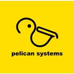 Pelican Systems - Crunchbase Company Profile & Funding