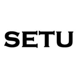 Setu Consulting Services - Crunchbase Company Profile & Funding