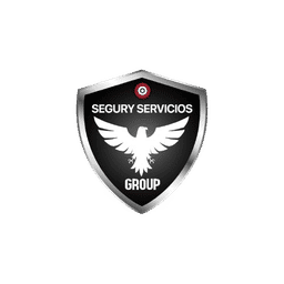 Seguro Servicios Group - Crunchbase Company Profile & Funding
