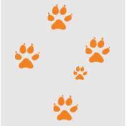 Southern Cross Veterinary Clinic - Crunchbase Company Profile & Funding