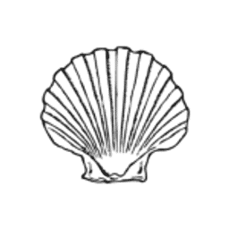 Shellona - Crunchbase Investor Profile & Investments