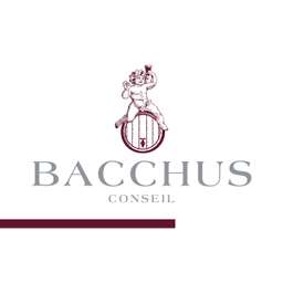 Bacchus Conseil - Tech Details
