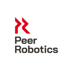 Peer Robotics - Financial Details