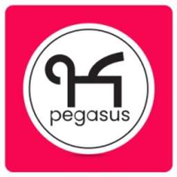 Pegasus - Crunchbase Company Profile & Funding