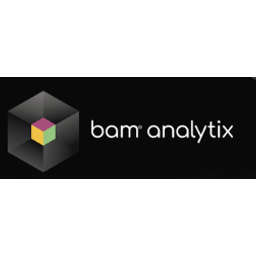 Bam Analytix - Crunchbase Company Profile & Funding