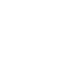 Trillium Interactive - Tech Details