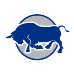 Bridget A. Ryan, CPA - Tech Details