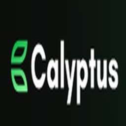 Calyptus - Tech Details