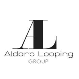 Aldaro Looping Group - Crunchbase Company Profile & Funding