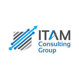 ITAM Consulting Group - Crunchbase Company Profile & Funding