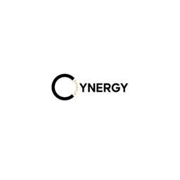 Cynergy Studios - Crunchbase Company Profile & Funding