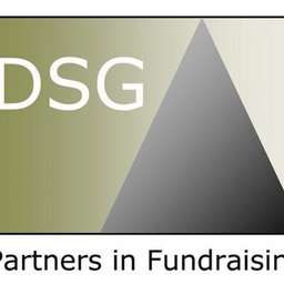 Dsg Employment