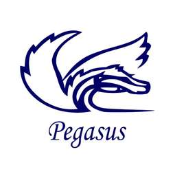 Pegasus - Crunchbase Company Profile & Funding