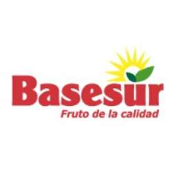 Basesur - Crunchbase Company Profile & Funding