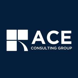 ACE Consulting Group - Crunchbase Company Profile & Funding