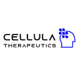 Cellula Therapeutics - Crunchbase Company Profile & Funding