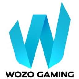 Wozo Gaming - Crunchbase Company Profile & Funding