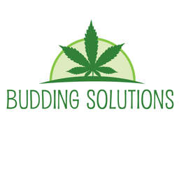 Budding Solutions - Crunchbase Company Profile & Funding