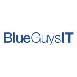 Blue Guys IT - Crunchbase Company Profile & Funding