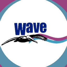 Wave Transit - Crunchbase Company Profile & Funding