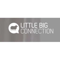 Little Big Connection - Crunchbase Company Profile & Funding