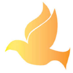 HCD International - Crunchbase Company Profile & Funding