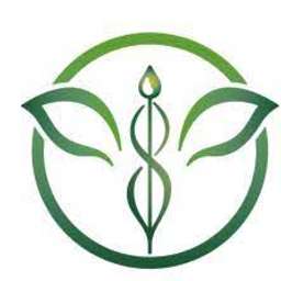 Scion Medical - Crunchbase Company Profile & Funding