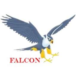 Falcon Kitchen Solution