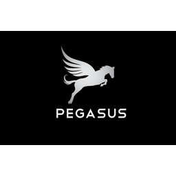 Pegasus - Tech Details