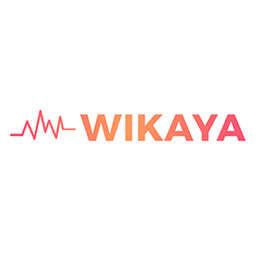 Wikaya - Crunchbase Company Profile & Funding