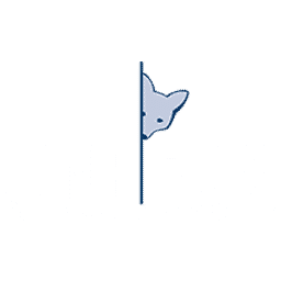 CineFox - Crunchbase Company Profile & Funding