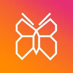 Monarch Social - Crunchbase Company Profile & Funding