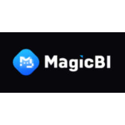 MagicBI