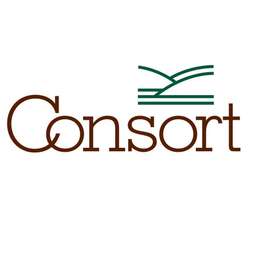 Consort - Crunchbase Company Profile & Funding