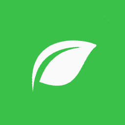 Capso - Tech Details