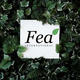 Fea International - Crunchbase Company Profile & Funding