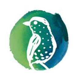 Brio Insurance - Crunchbase Company Profile & Funding