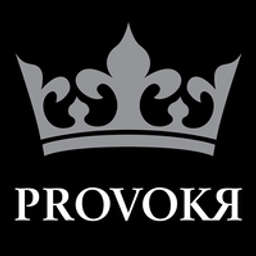 PROVOKR - Crunchbase Company Profile & Funding