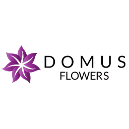 Domus Flower - Crunchbase Company Profile & Funding