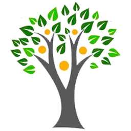 Insight Treatment - Crunchbase Company Profile & Funding