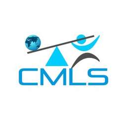 CM Leveraged Solutions - Crunchbase Company Profile & Funding