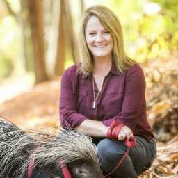 Lisa New - President and CEO @ Zoo Knoxville - Crunchbase Person Profile