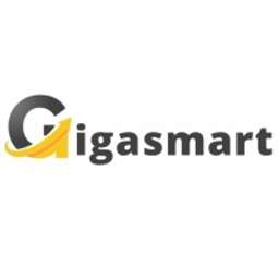 Gigasmart - Crunchbase Company Profile & Funding